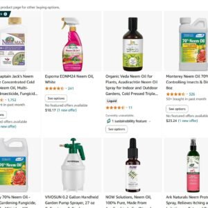 Common Diseases of Lemon Trees - Backyard Botanist