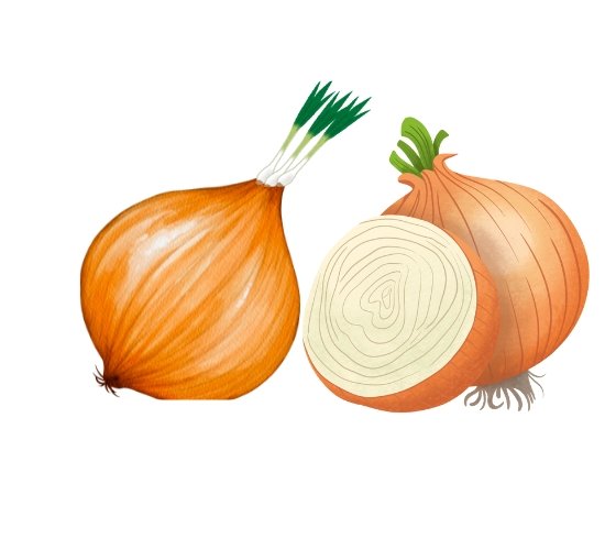 The History of Onions - Backyard Botanist